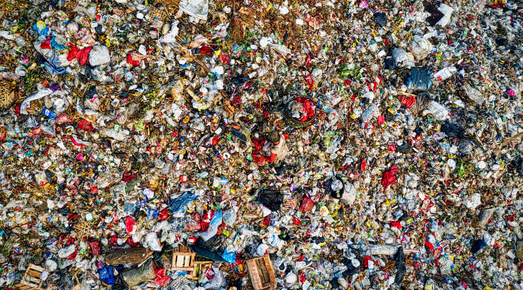 Tackling Food Waste: A Call to Conserve and Savor – Get Earthy